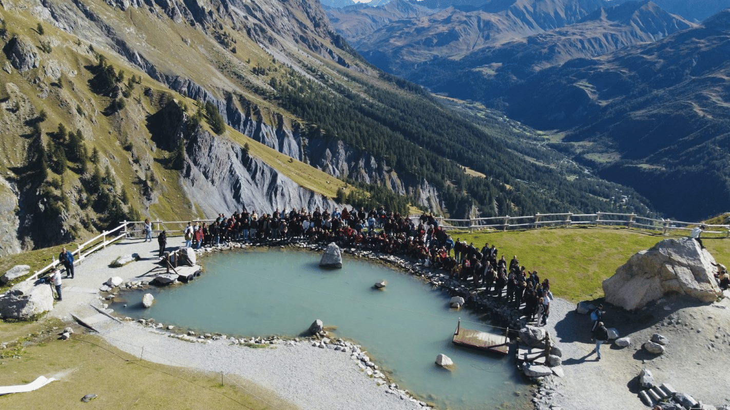 Blue Reply: Software Engineer